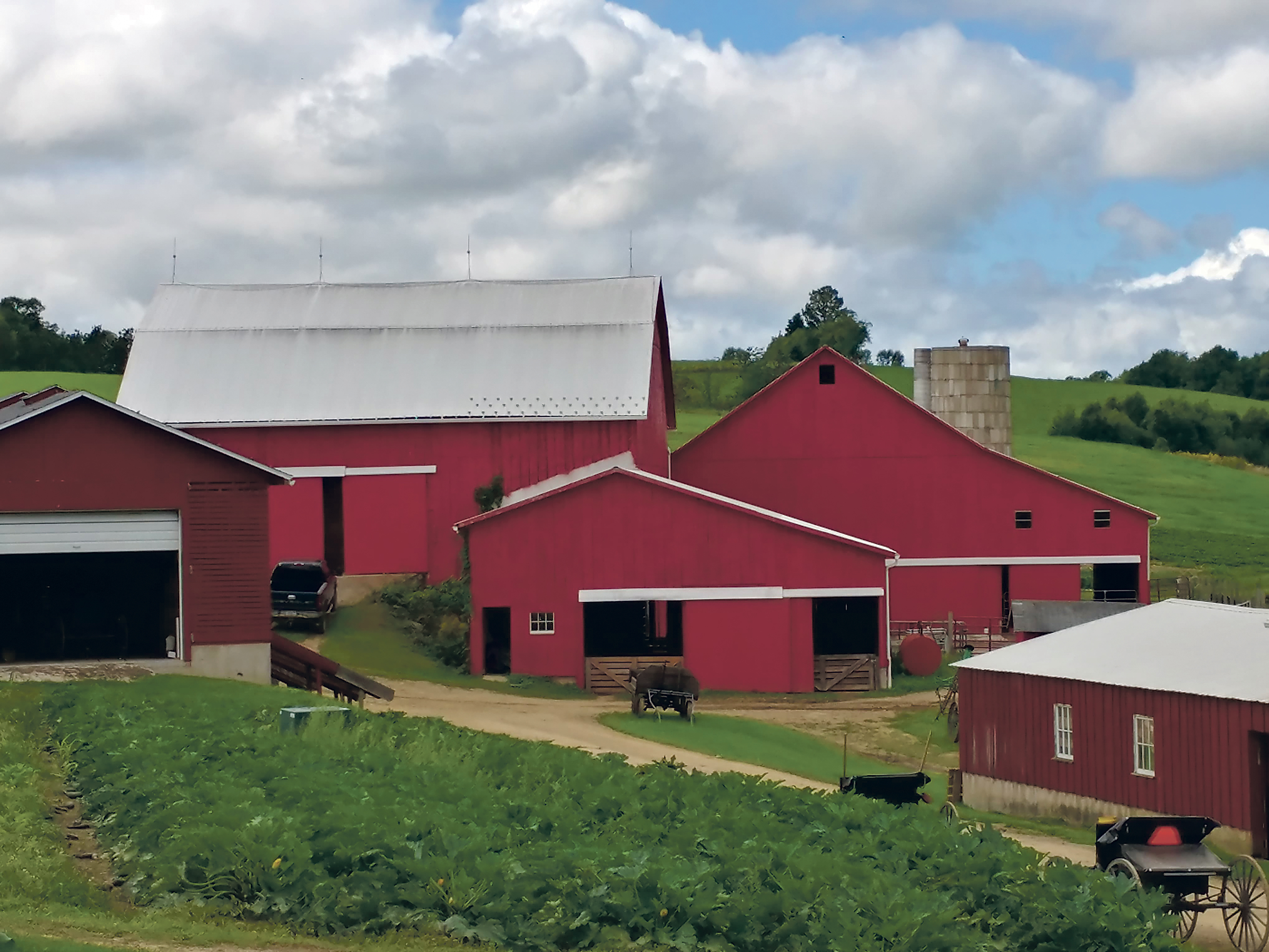 At home on Dutch Hill | News, Sports, Jobs - Times Observer